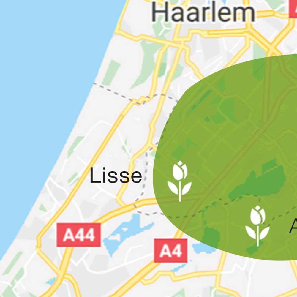Flowers of Amsterdam Tour